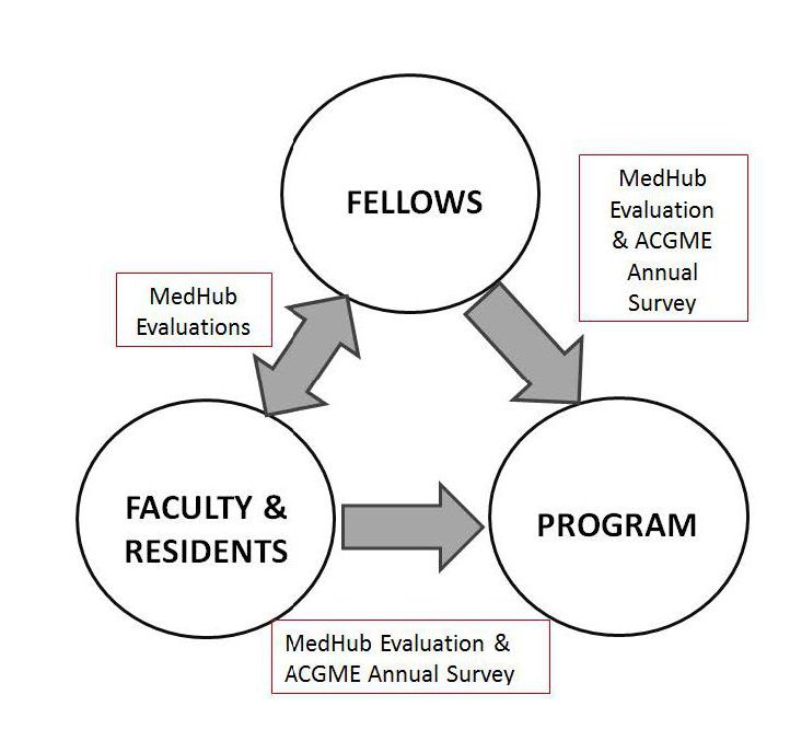 Fellowship Program Overview | Derm Education